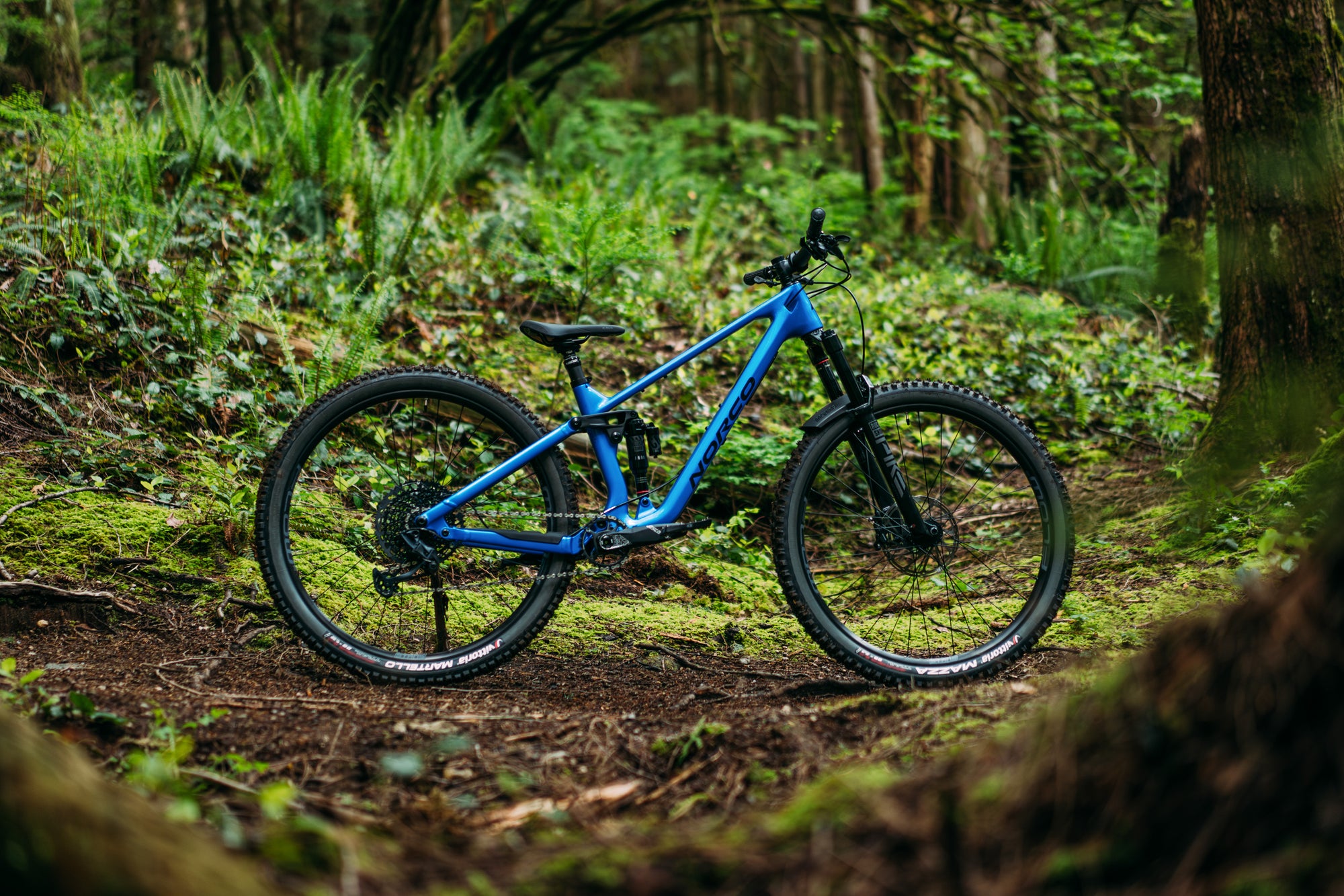 Jolly Circle Bike Shop in Springville